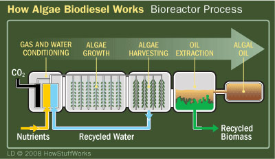 Algae Biorefinery - Promise and Potential | EcoMENA