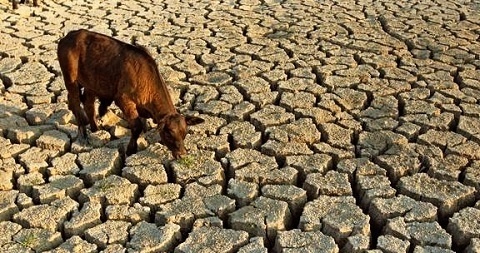 Climate Change Impacts on Water Resources | EcoMENA