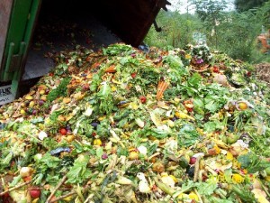 Food Wastes Disposal Methods | EcoMENA