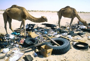 Solid Waste Management in Saudi Arabia | EcoMENA