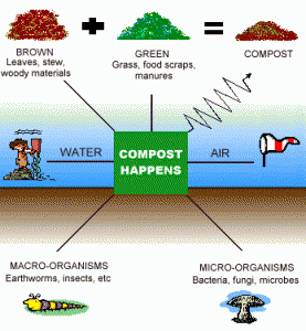 Introduction to Composting | EcoMENA