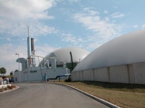 Biogas from Animal Wastes | EcoMENA