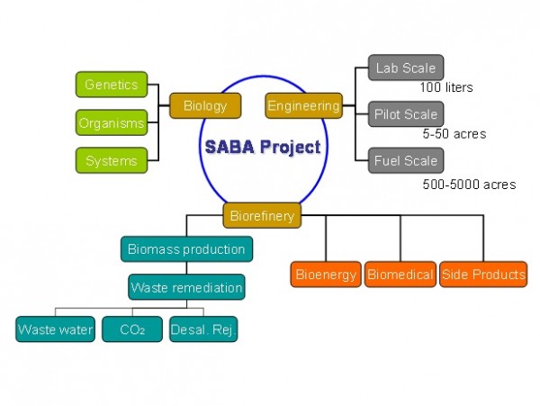 Saudi Arabia Biorefinery from Algae (SABA) Project | EcoMENA