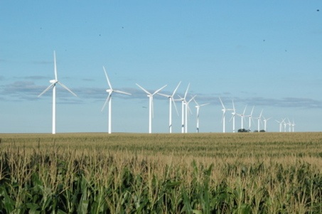 How Agricultural Sector Can Help the Renewable Energy Sector