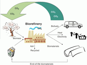 Introduction to Biorefinery | EcoMENA