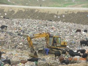 Waste Management in Morocco | EcoMENA