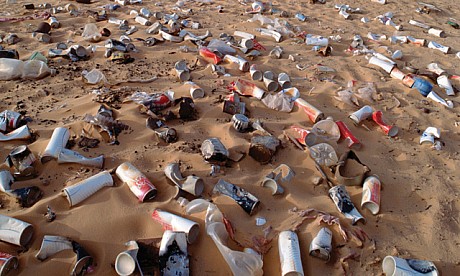 The Menace of Littering and How to Solve It