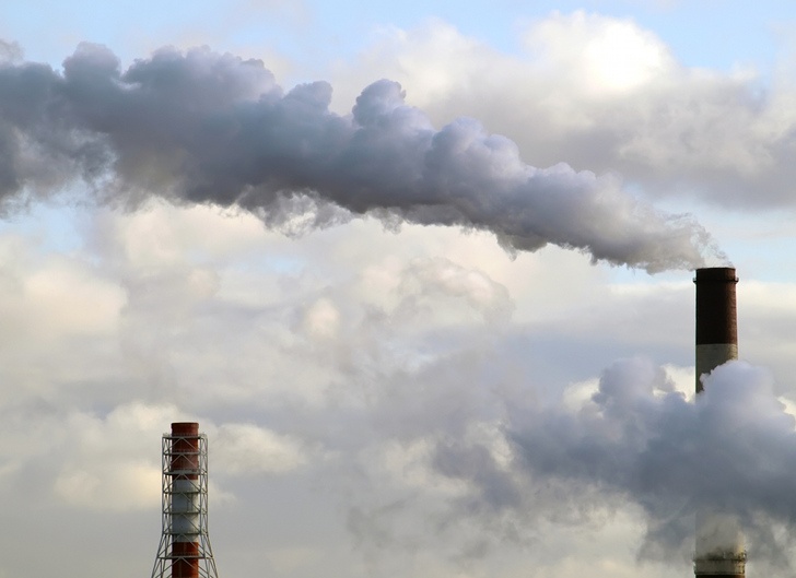 Anthropogenic Climate Change Impacts On Ecosystems Ecomena