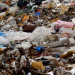 Waste Awareness in Qatar: A Survey | EcoMENA