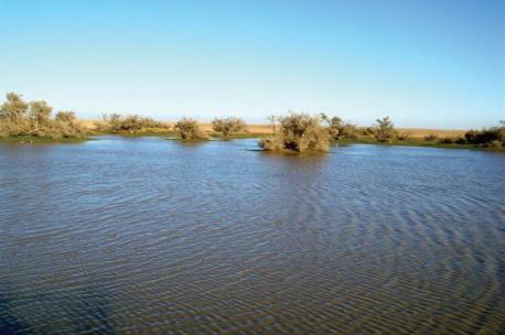 Water Resource Management in GCC - Issues and Challenges