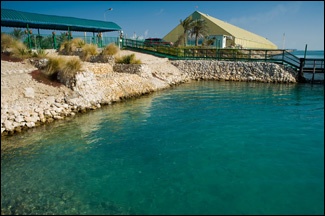 Restocking the Seas around Bahrain through Fish Farming | EcoMENA