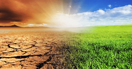 The Islamic Discourse on Climate Change | EcoMENA