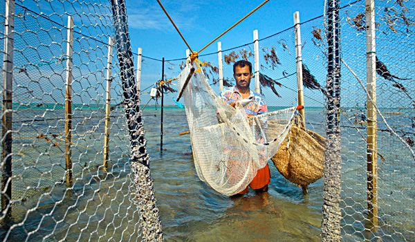 Water Scarcity in Bahrain | EcoMENA