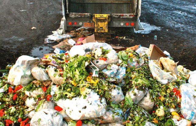 Islamic Principles on Waste Minimization | EcoMENA