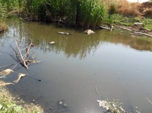 Litani River: A Sorry State of the Affairs | EcoMENA