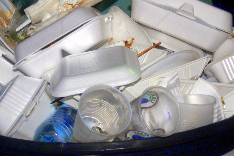 Say 'No' to Disposables | EcoMENA