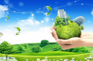 The Role of Big Data in Environmental Sustainability