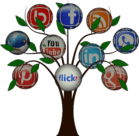 Social Media as a Tool for Environment Protection | EcoMENA