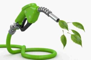 What are Biofuels | EcoMENA