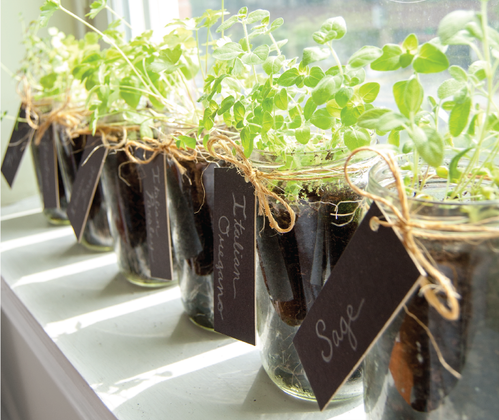 5 Eco-friendly Projects You Can Do At Home | EcoMENA