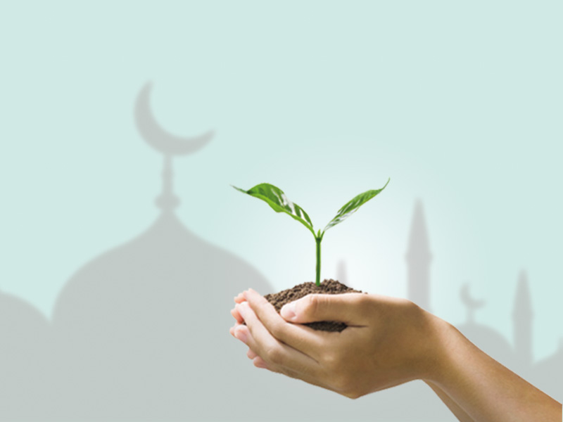 Green Sukuk: A Shariah-Compliant Green Financing Instrument