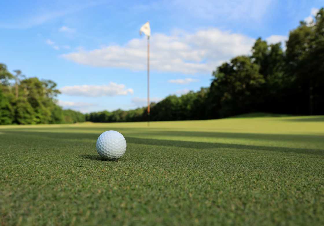 How To Maintain An Eco-Friendly Golf Course | EcoMENA