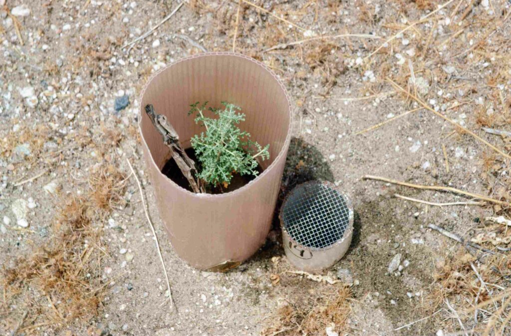 High Efficiency Irrigation Systems for Home Gardens, Shrubs and Trees